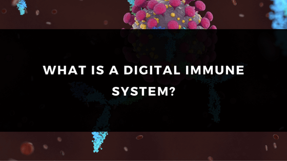 WHAT IS A DIGITAL IMMUNE SYSTEM? | Bilginç IT Academy